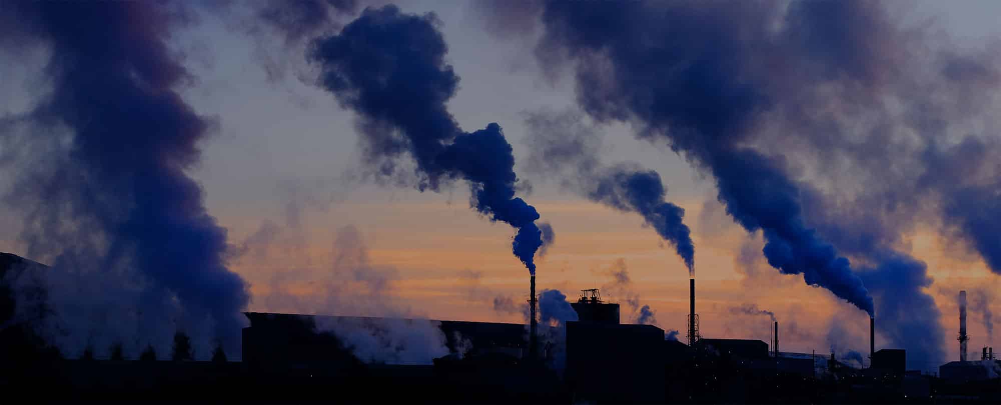 Florida Creative Environmental Consulting and Services