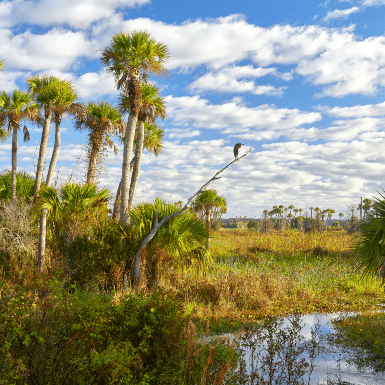 Water Use Permit Consultant - Creative Environmental Solutions
